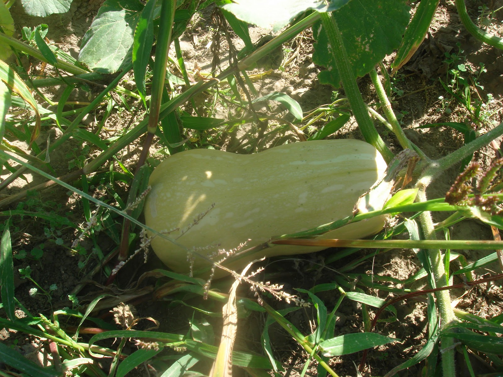 Contagious Health: Weekend adventures + 30 days of positive posting