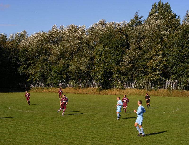 The Accidental Groundhopper: Ground 136: Purvis Park, Percy Main Amateurs