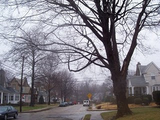 AS Media Practical: Examples of long shots