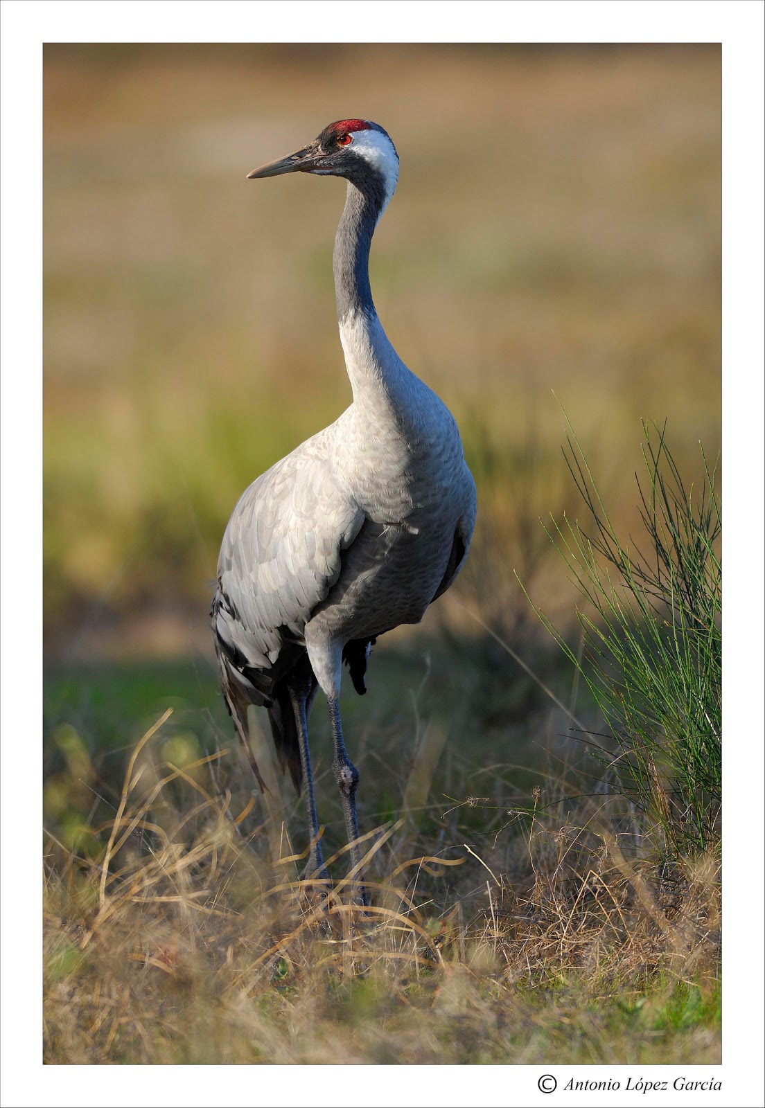 Encuentros memorables