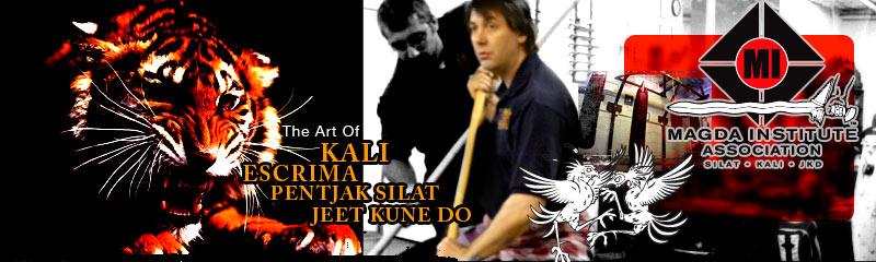 Guro Cass Magda Blog