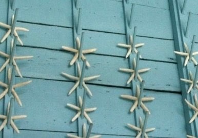 Decorating with Starfish -Creative Display Ideas