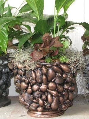 21 DIY Seashell Pot & Planter Ideas