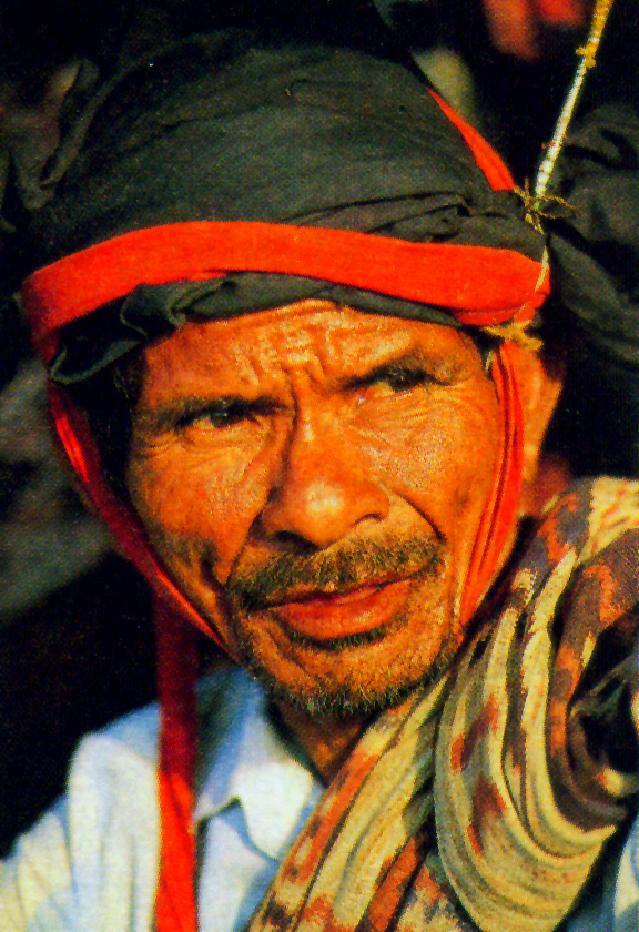 The Culture Of The World: Pasola sumba di Pulau Sumba