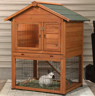 Rabbits and Rabbit Hutches: Purchasing the Best Outdoor Rabbit Hutch