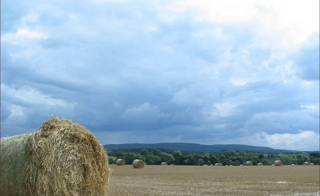 A Gurn from Nurn: Harvest