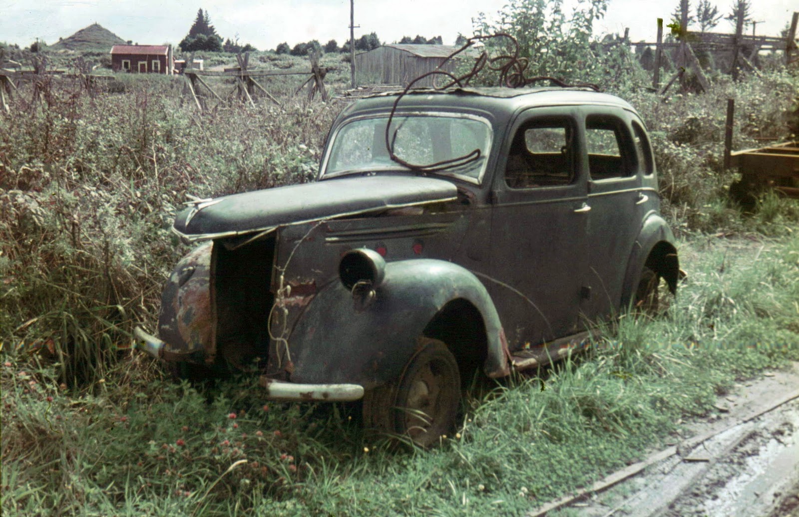 transpress nz: cars on rails in the bush