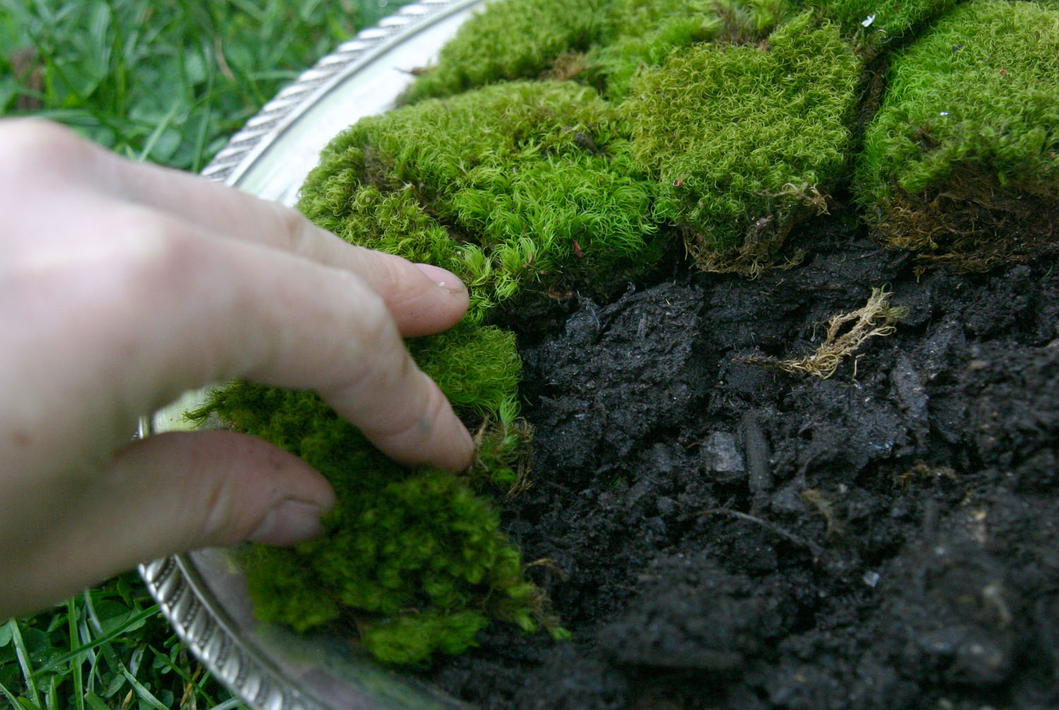 Elemental: Moss Platter Tutorial