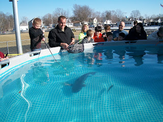Herman Brothers Blog: The All New Portable Trout Pond