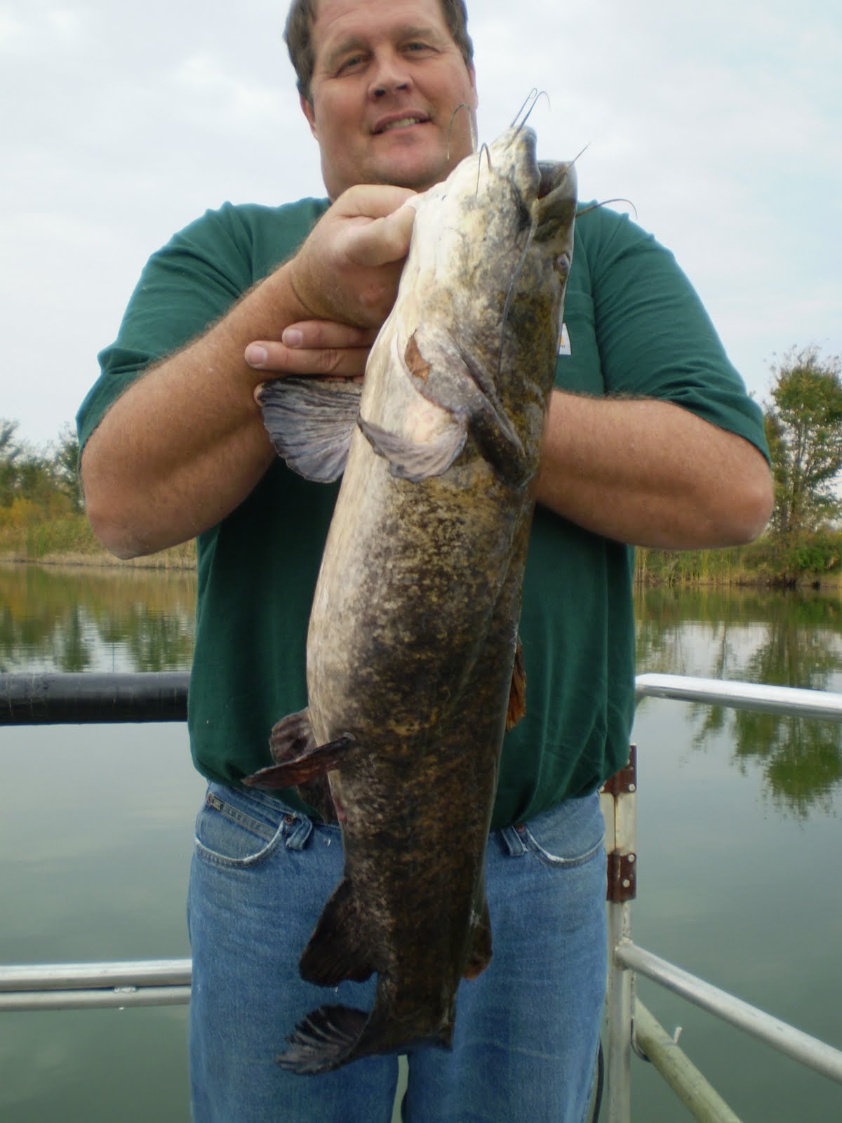Herman Brothers Blog: Big Flathead Catfish