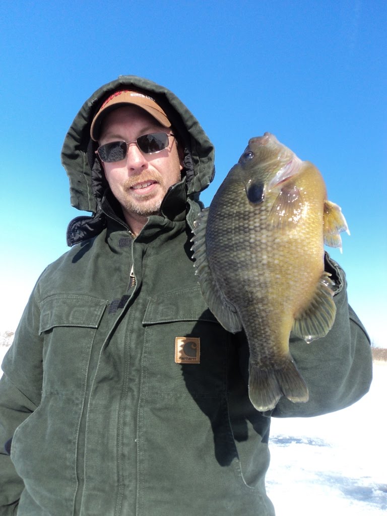 Herman Brothers Blog: Ice Fishing Monster Bluegills Today!