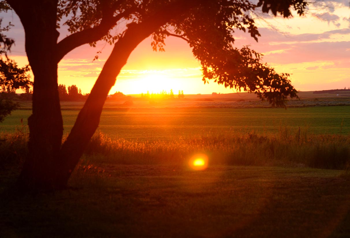 imaging by marlis: Sunset on the Prairie