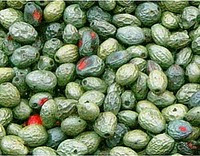 Menengiç Kahvesi: Menengiç Nedir?