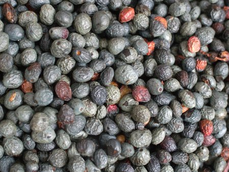 Menengiç Kahvesi: Menengiç Nedir?