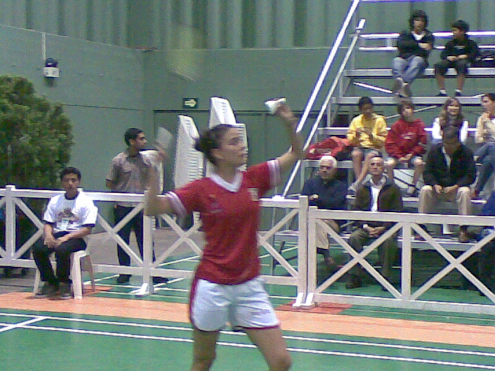 DEPORTECNICA PERU: 2009-11-15