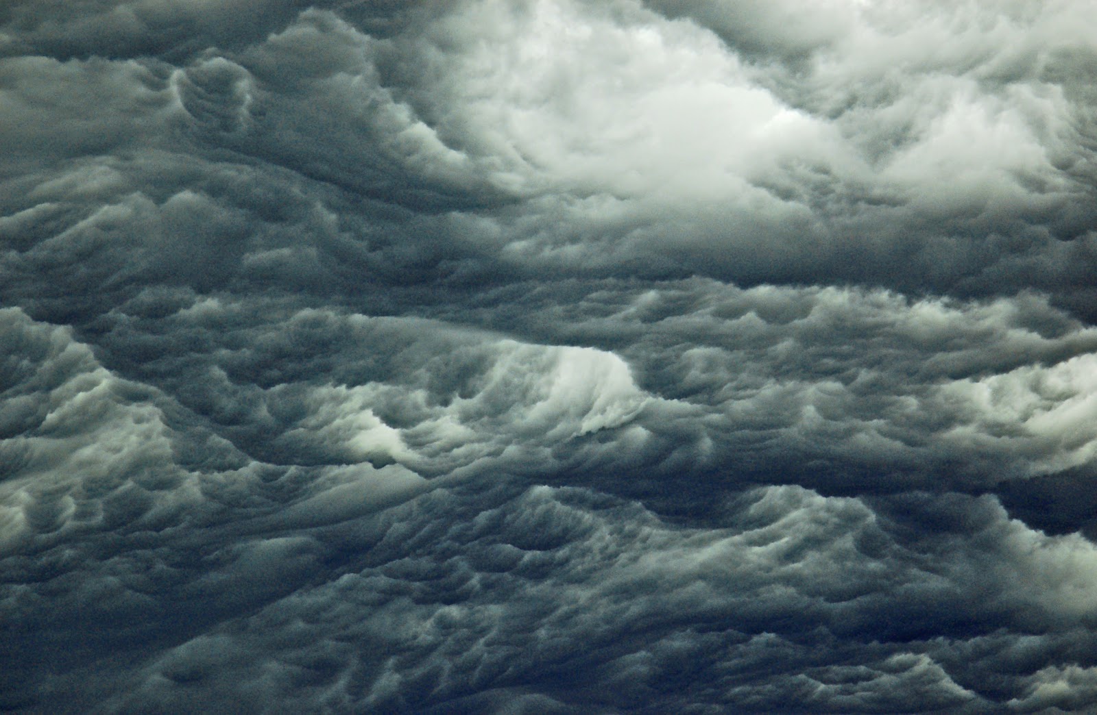 Coward's Corner with Luckie: Weird! Ominous! Beautiful!