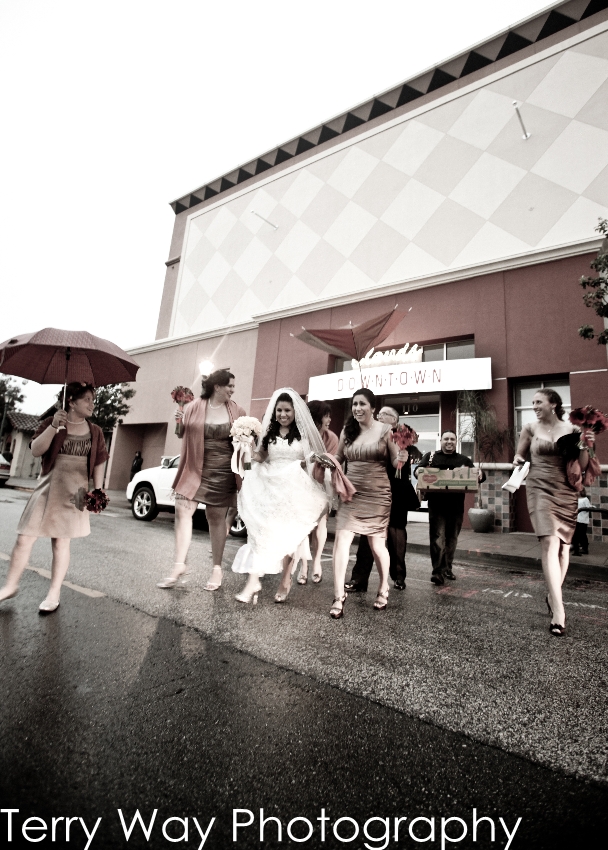 Terry Way Photography Santa Cruz Photographer: Top of The Ritt Wedding ...
