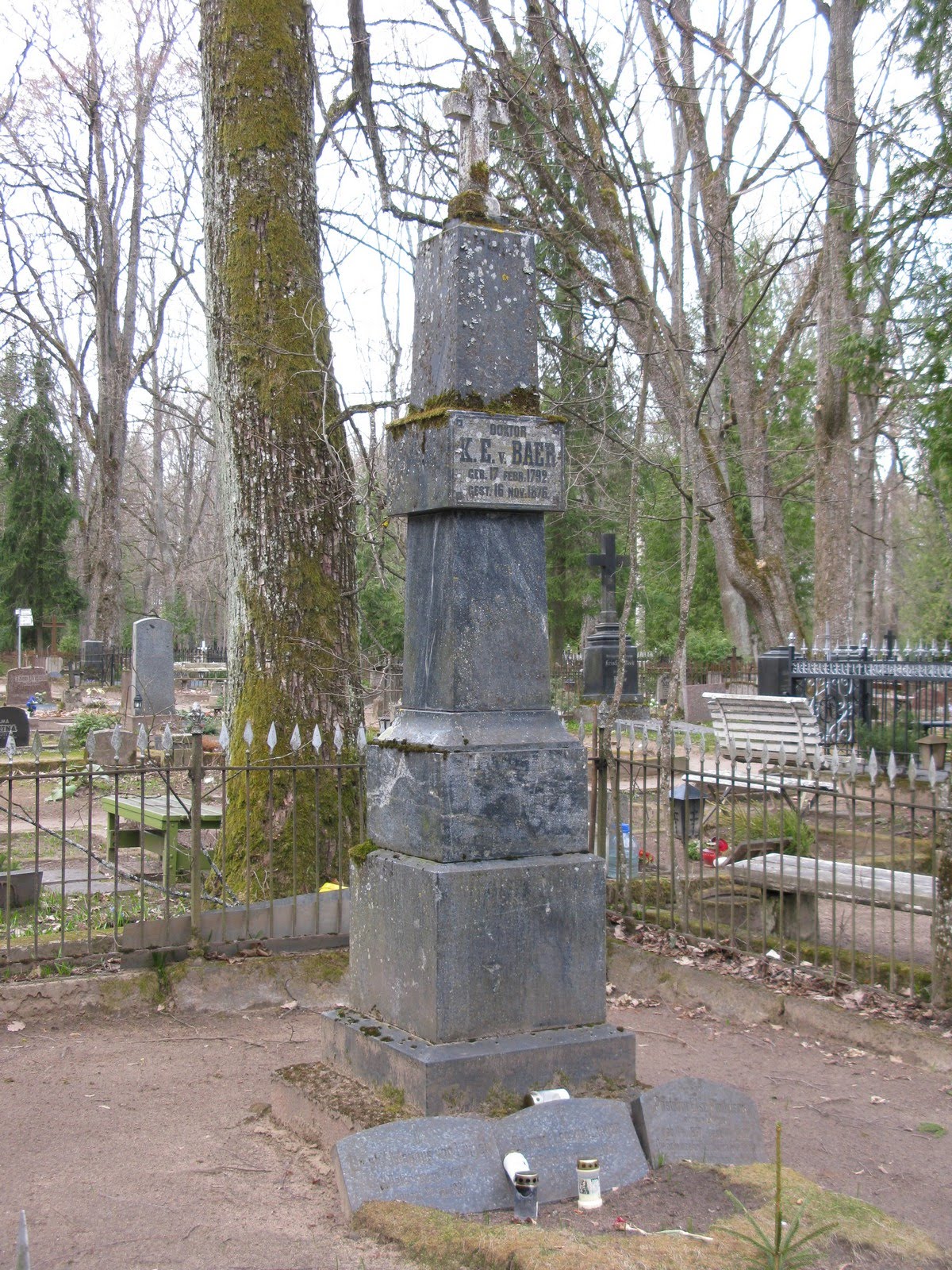 Loodusluup: Linnuikaldus Raadi kalmistul