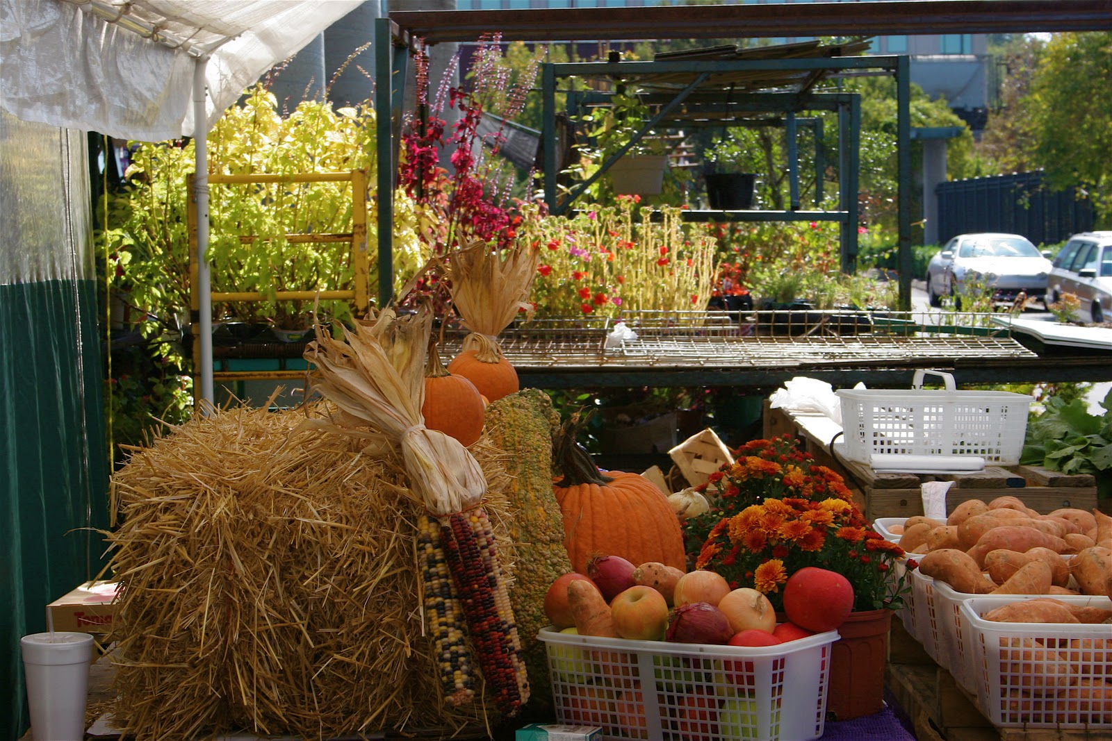 ranch dressing: October Farmer's Market