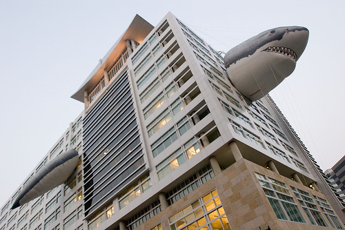 TheWizWit: 2010-11-28