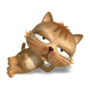 Dinga cat.叮嘉猫乐园: Dinga cat叮嘉写真集系列二