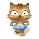 Dinga cat.叮嘉猫乐园: Dinga cat写真集系列三