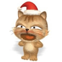 Dinga cat.叮嘉猫乐园: Dinga cat写真集系列四