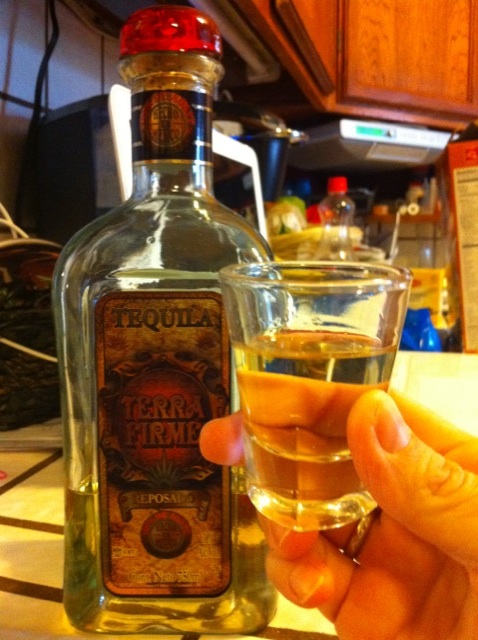 Tales of an Ambitious Slacker: Saturday Sampler: Tequila-Breakfast of ...