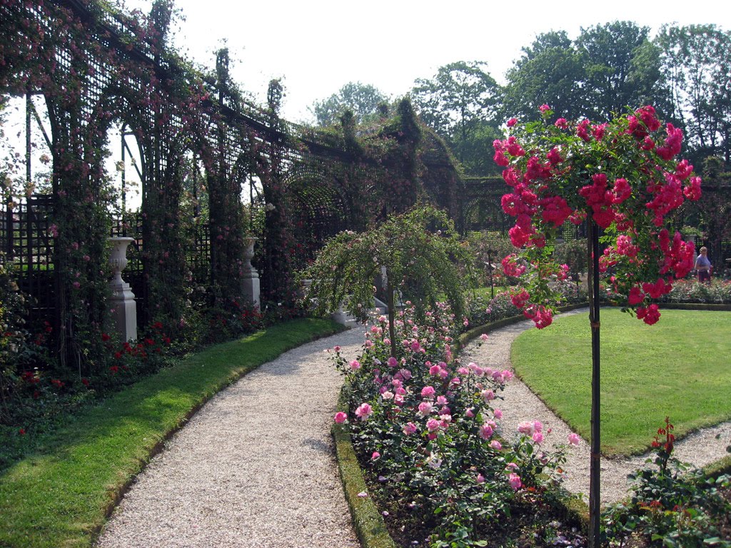 Through the French eye of design: TRELLISES