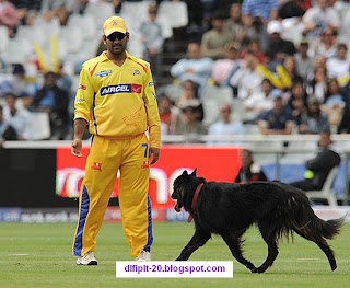 DLF IPL T-20: Dog is on field of CSK Vs MI match of IPL 2