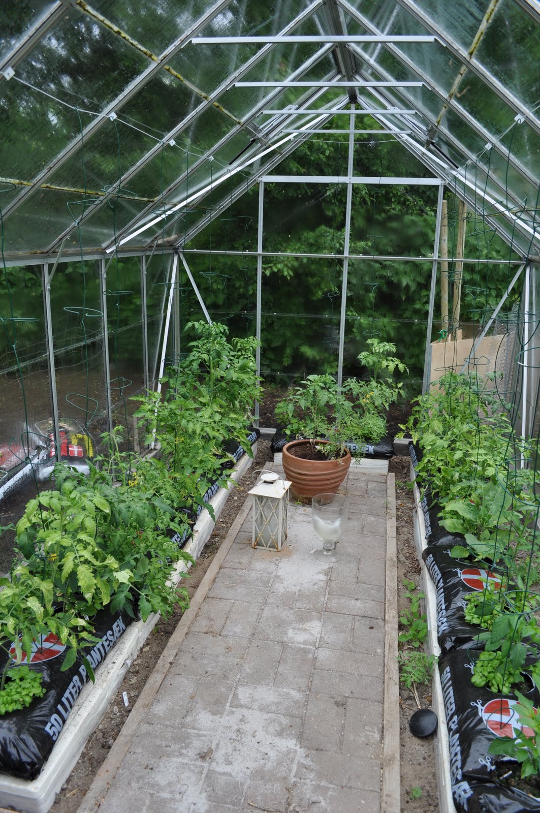 Hos Mutter: Drivhus på den grimme måde