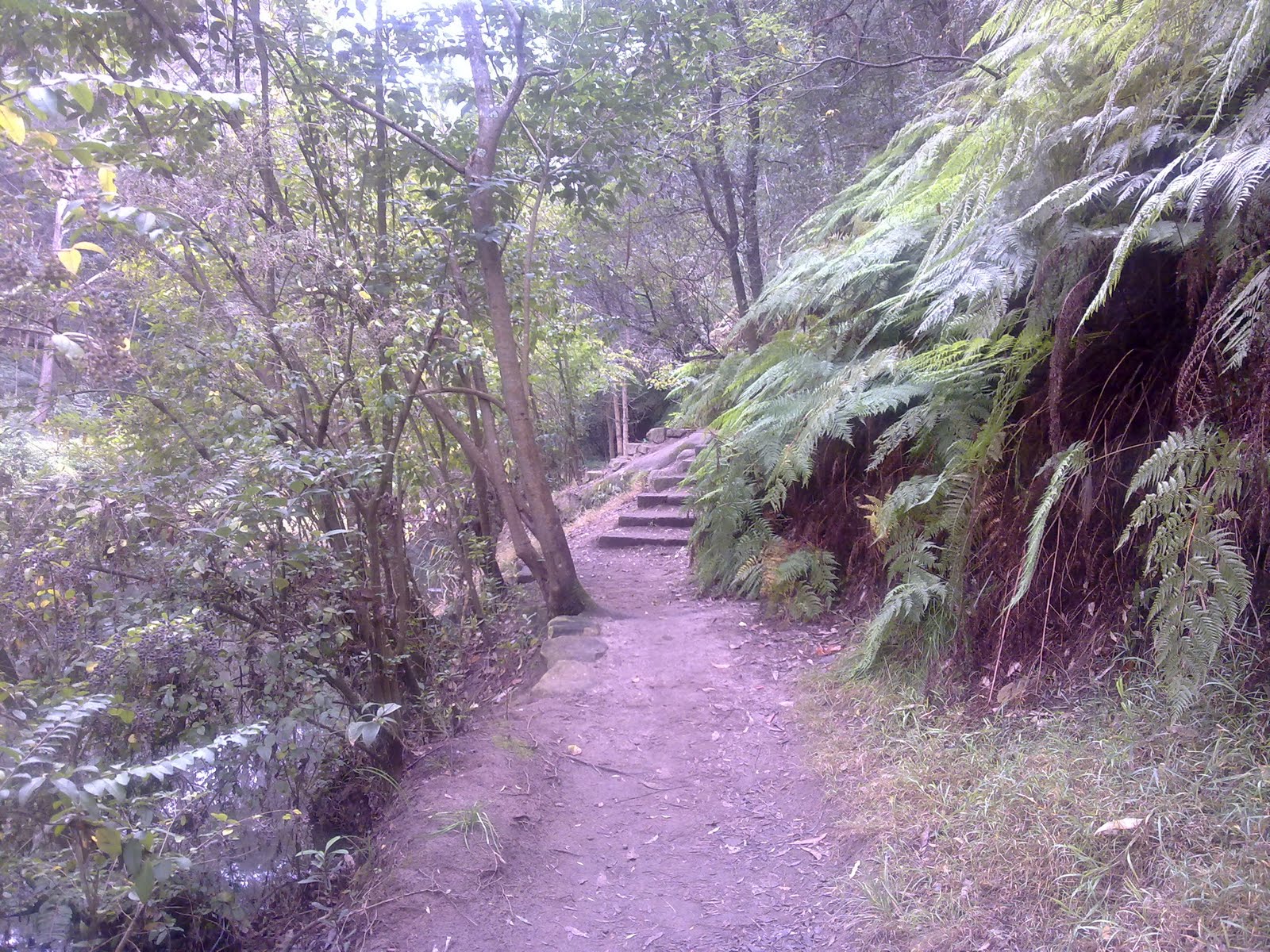 Arthur Stace: CAMMERAY BRIDGE