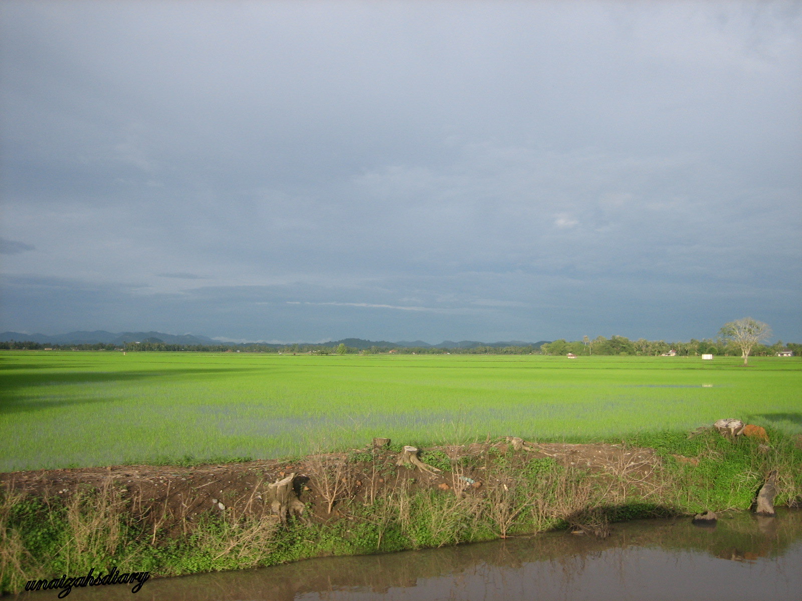 Memories Experiences Thoughts Hopes Dreams: Sawah Bendang