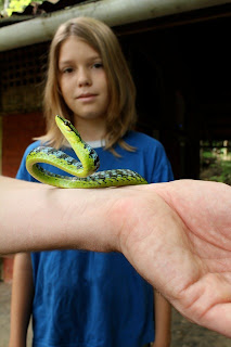 The Gerry Martin Project: The Island Ecology Workshop!