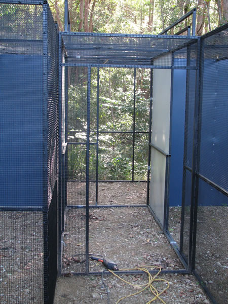 Parrot Behaviour & Enrichment Consultations: Enrichment Aviary Project ...