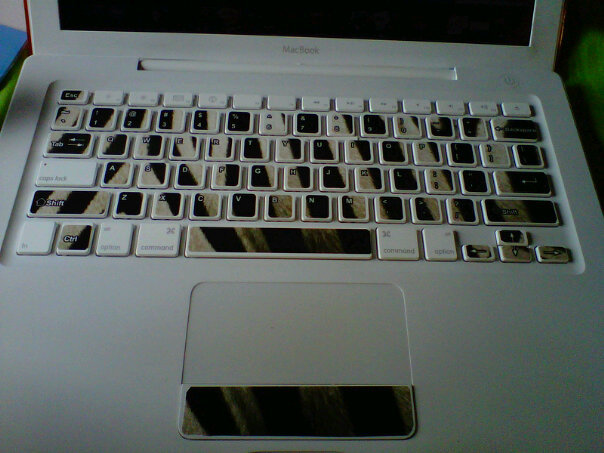 LINAmaria: Animal print keyboard!
