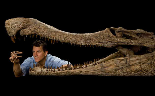 News Quest: Dinosaur-eating crocodiles in Sahara