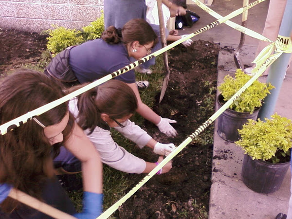 CTE Reading Blog: Bullying At Coral Terrace