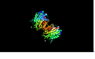 kertas_maya: Protein Data Bank