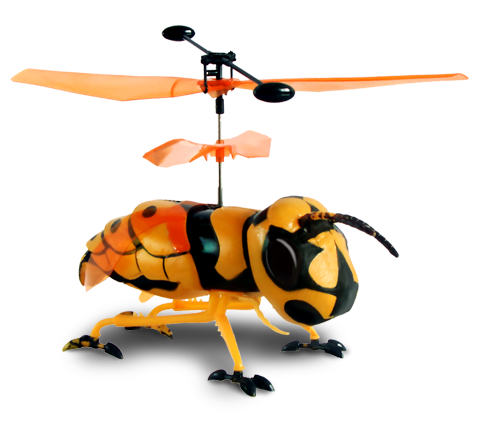 Just see this big bug in my garden | North Stand Chat - Brighton & Hove ...