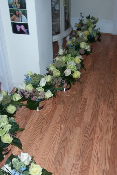 Maryann Ogle Designs