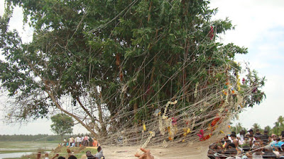ಹೀಗೂ ಉಂಟೆ | Heegu Unte !: Sanjeevani Tree , Kenchamma Devi Devastana ...