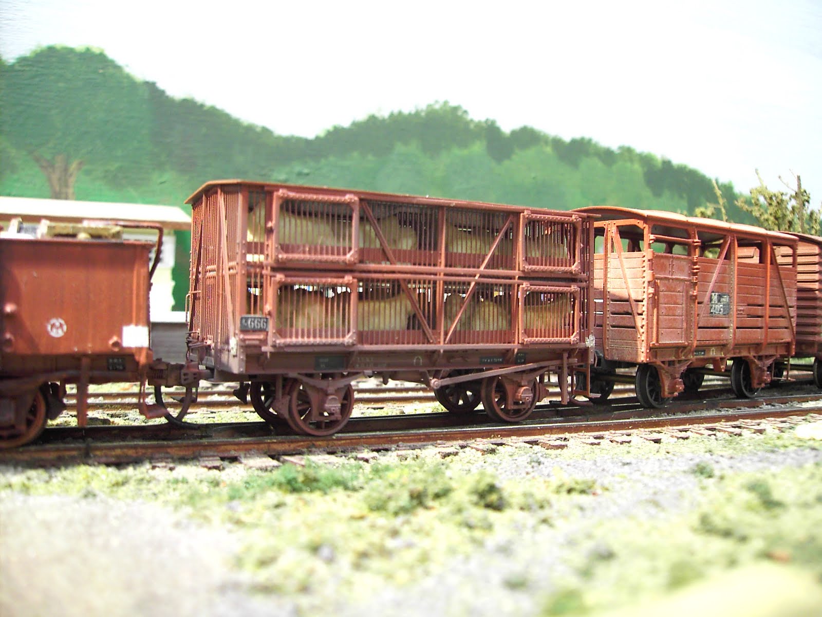 Blue and Gold Models