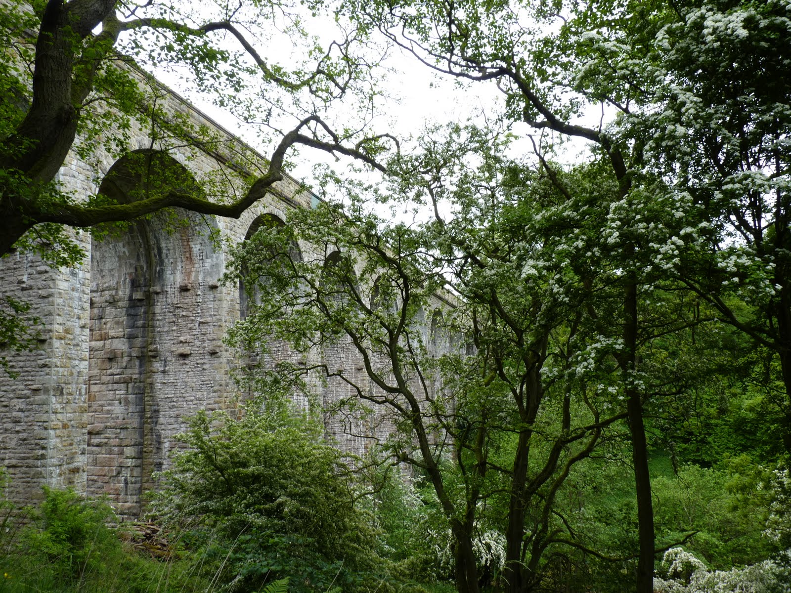 A Raft of Apples: ABC Wednesday - Viaduct