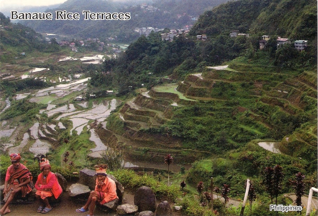The Postal Picture: Rice Terraces, Philippines