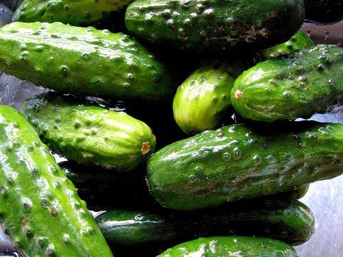 Grace Piper: Fearless Cooking