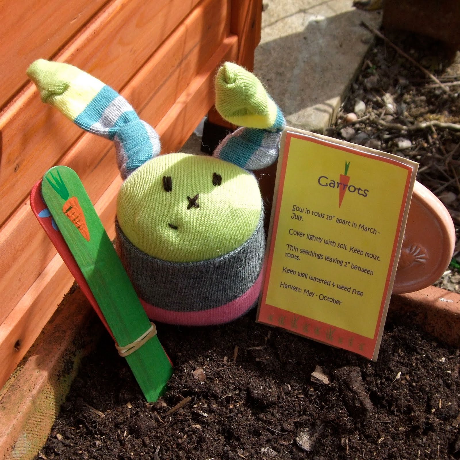 Anna Hull, Sock Bunny Maker to The World: Carrot growing for small ...