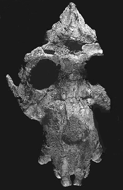 Sinanthropus: A Chinese Ape in Our Ancestry? Part 3