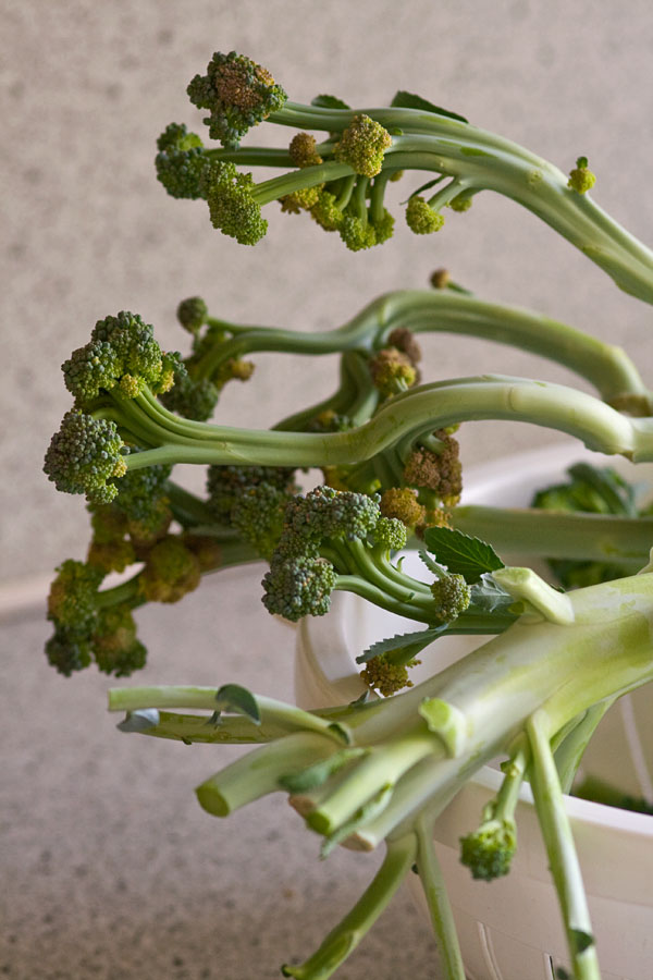De Kleine Dingen: Recept: Broccolisoep