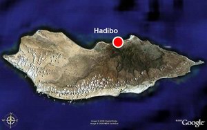 Visit Socotra: Hadibo